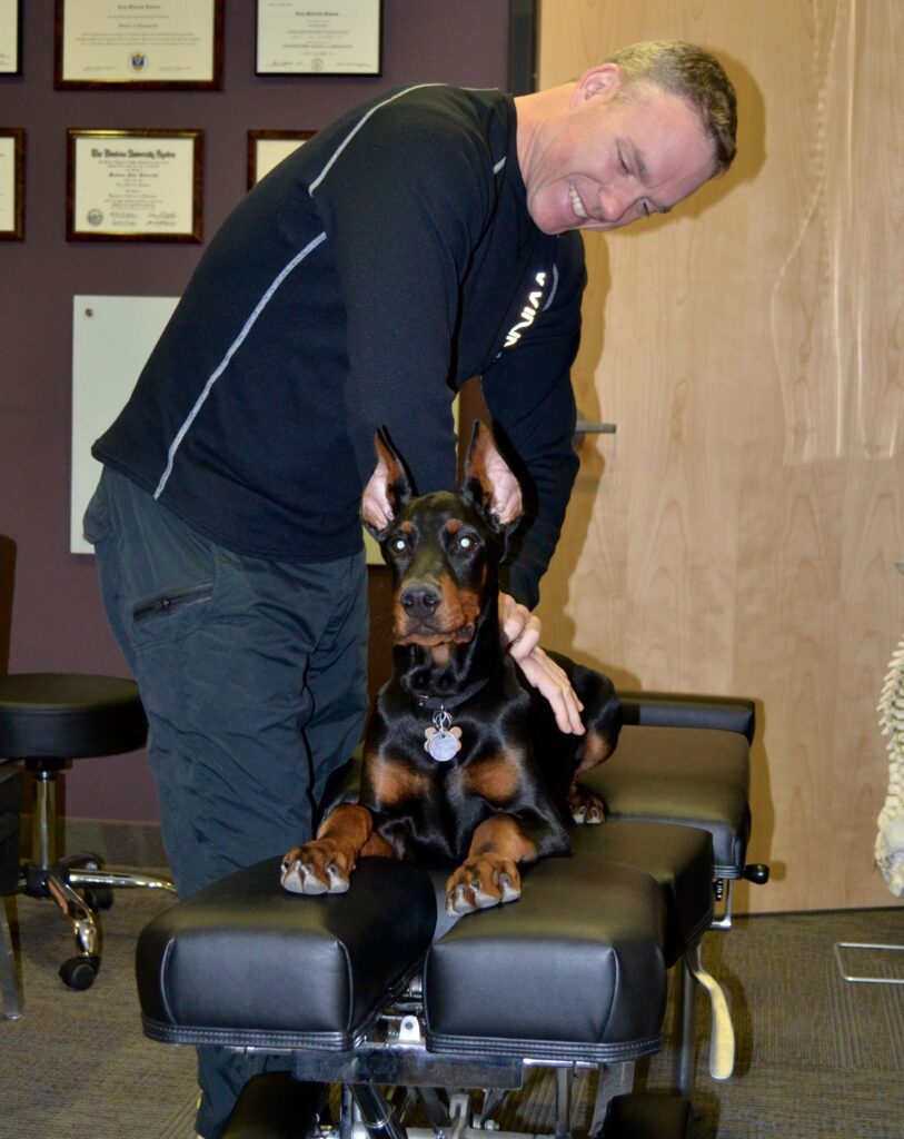 What Is Our LOVE HEALTH CAREER & MONEY Concept? - Winner's Edge Consulting