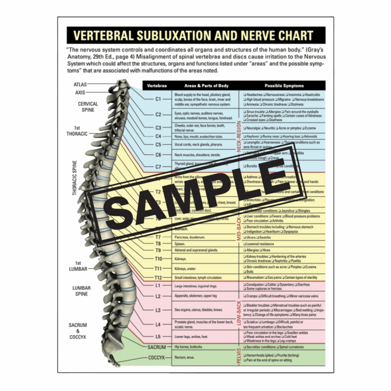 Spine Chart - Members WINNERSEDGE Consulting